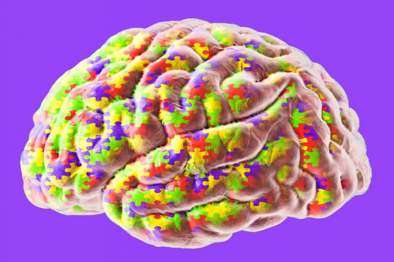 A Guide To 8 of The Most Common Puzzle Types - Puzzle Mechanics